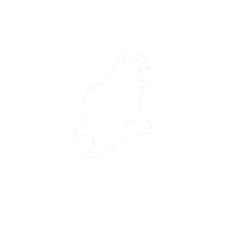 Eagle Pcb Design Elab