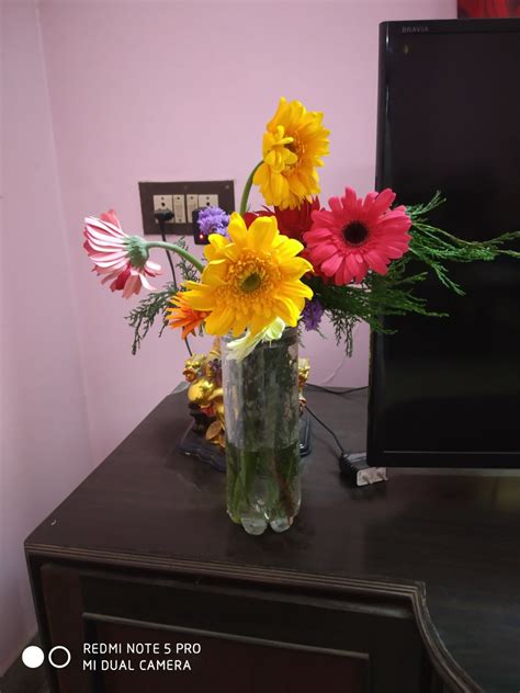 Dr Preethi Ramadoss On Linkedin Trying To Preserve This Precious T From Iim Trichy As Much