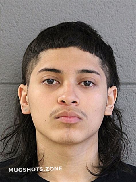 Miguel A Guizar 03 14 2025 Chicago Mugshots Zone