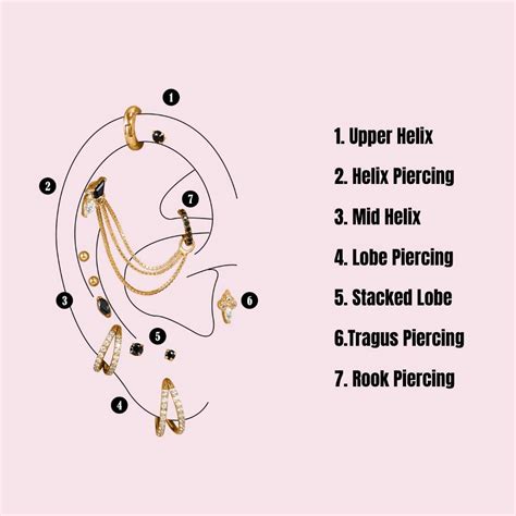 Ear Piercing Diagram Complete Guide To Placements Map Ericajewels