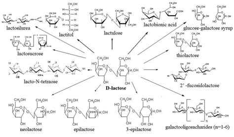 Diagram Of Genetic Relationship Between Lactose And Its Derivatives