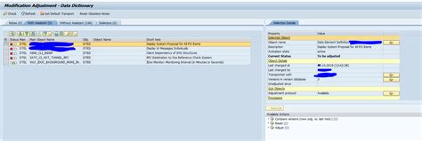 sap upgrade spdd handling