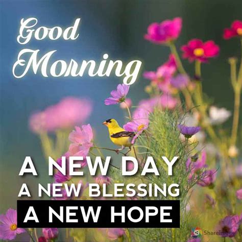 New Refreshing Quotes Positive Quotes For Refreshing The