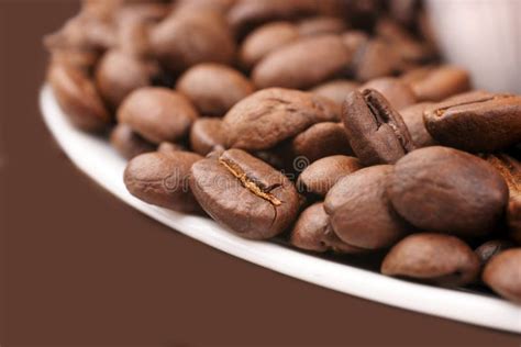 Close Up Of Coffee Beans Stock Image Image Of Detail 10741851