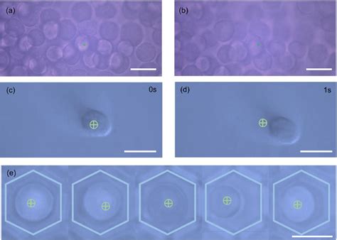 Physics Chinese Academy Of Sciences