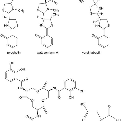 Pdf Catecholate Siderophores Protect Bacteria From Pyochelin Toxicity