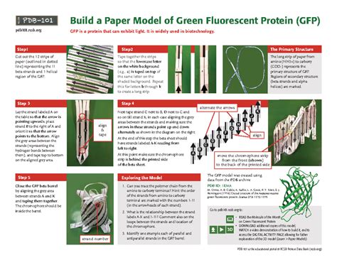 Gfp Model Biotec Apuntes Build A Paper Model Of Green Fluorescent