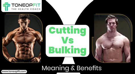 Fat Mass Vs Muscle Mass Meaning Comparison And Ratio