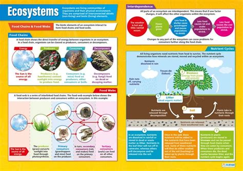 Ecosystems Geography Poster Extra Large 33” X 235