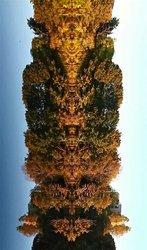 Autumn Surrealism Andrew Meldrum Flickr