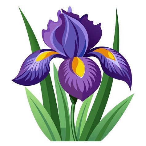Premium Vector Iris Flower Cartoon Style Vector Design