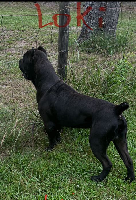 Thomas Kennerly Cathy Kennerly