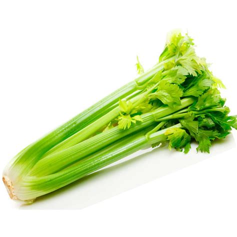 Celery Bunch Gateway Stream Online Shop Zimbabwe Grocery To Zimbabwe Online Shop Zimbabwe