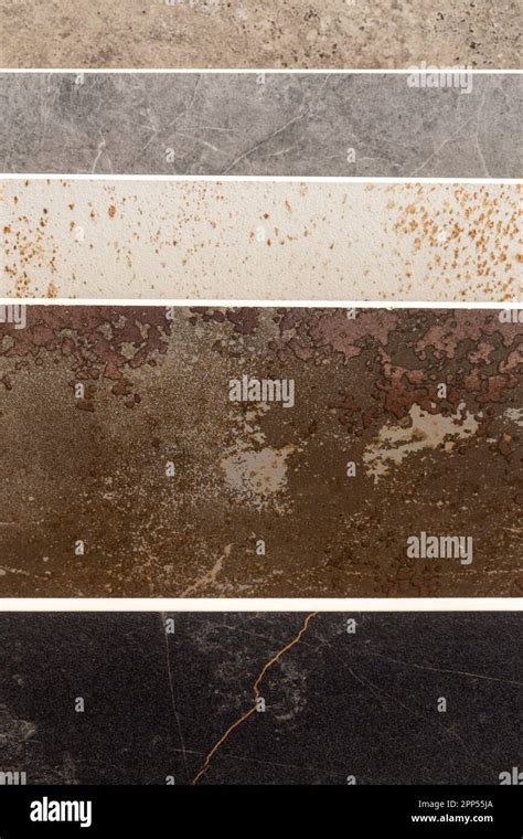 Samples Of A Ceramic Tile In Shop Colored Samples Of Ceramic Tiles For