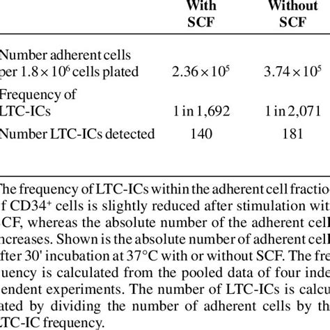 Stem Cell Factor Scf Stimulation Enhances The Number Of Adherent Download Table