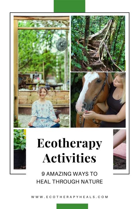 9 Types Of Ecotherapy Activities Explore New Ways Of Natural Healing