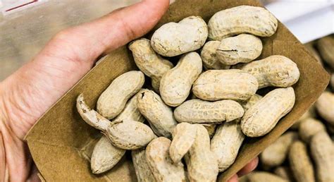 A Woman Whose Vagina Burned After Sex Was Told Her Partners Semen Contained Traces Of Peanuts