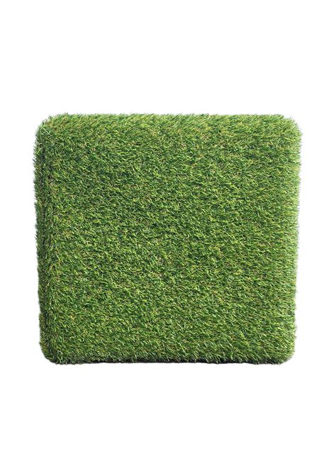 Madison Bench Grass Expats Partner