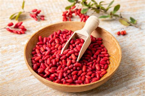 Berberin Nedir Faydaları Nelerdir Ve Yapılan Bilimsel Çalışmalar Theraphyto