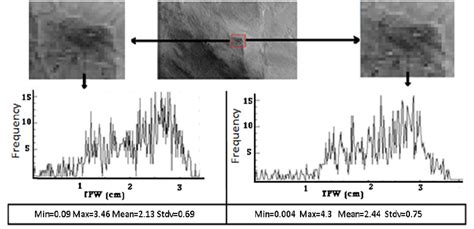 The Statistical Results Of Tpws For Modis Algorithm Left And Modified Download Scientific