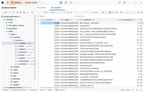 datagrip cedardb documentation