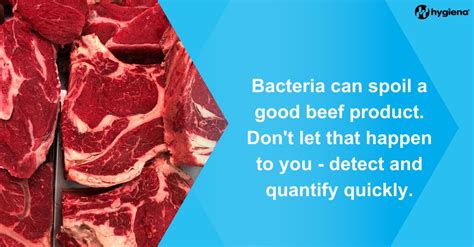 Araceli Casas Posted On Linkedin