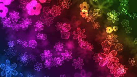Flowers Bokeh Colors Wallpaper 7826