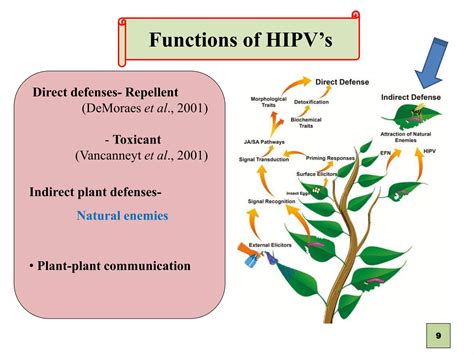 Tritrophic Interactions Mediated By Herbivore Induced Plant Volatiles