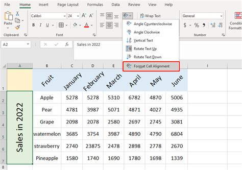 How To Change Text Direction In Excel My Microsoft Office Tips