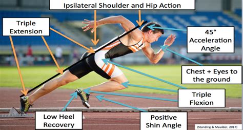 The Language Of Coaching Athletic Performance Academy