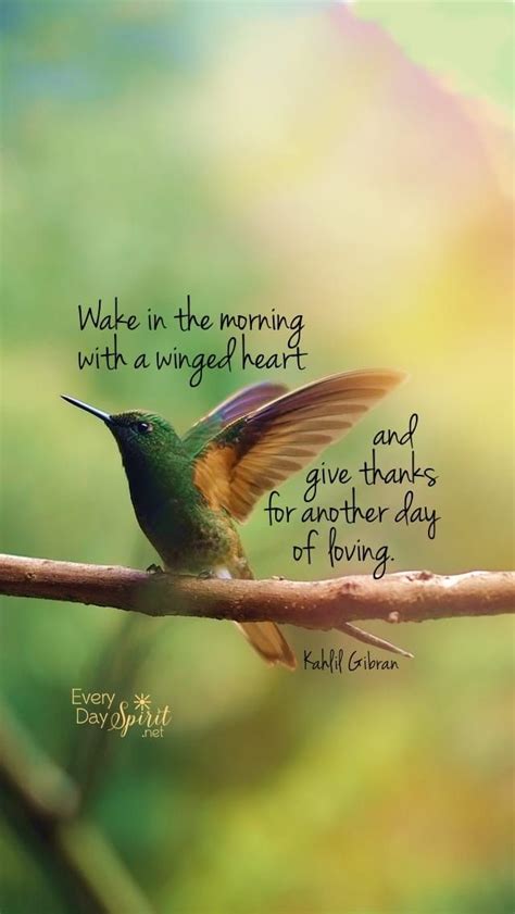 Hummingbird Love Quotes The Hummingbird Marketplace Sedona