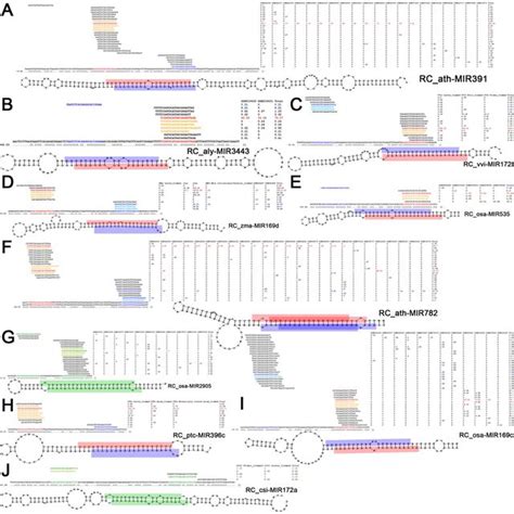 High Throughput Sequencing Hts Data And Structure Based Download Scientific Diagram