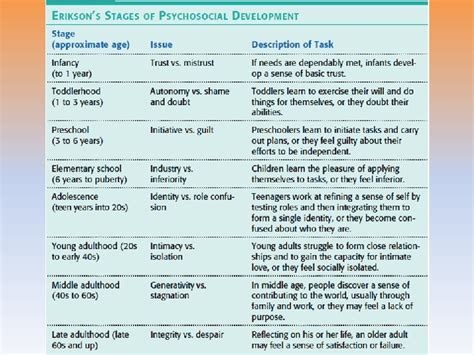 Cognitive Development Cognition Jean Piaget Schema Assimilation