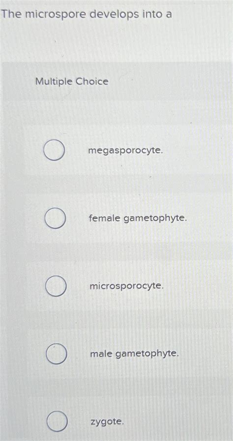 Solved The Microspore Develops Into Amultiple