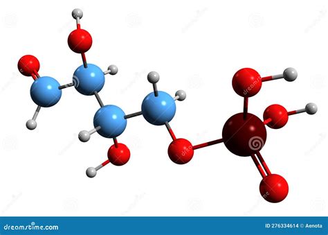 3d Image Of Erythrose 4 Phosphate Skeletal Formula Stock Illustration Illustration Of