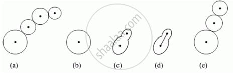 How Does Binary Fission Differ From Multiple Fission Science