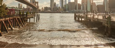 The Fascinating Evolution Of Markets In Brooklyn New York