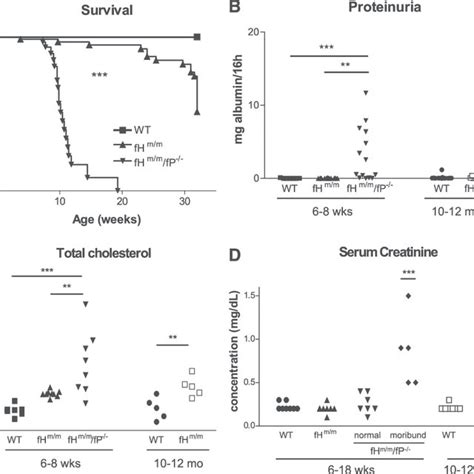 Properdin Deficiency Did Not Prevent Plasma Ap Complement Activation In Download Scientific