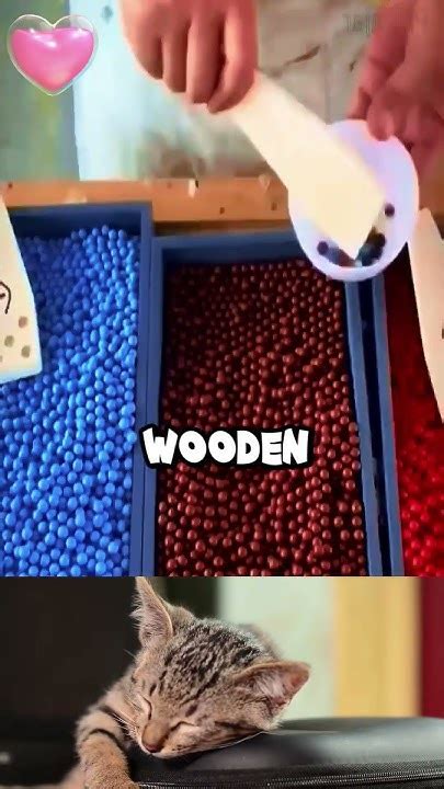 Candy Counting Hack Funfacts Shorts Youtube