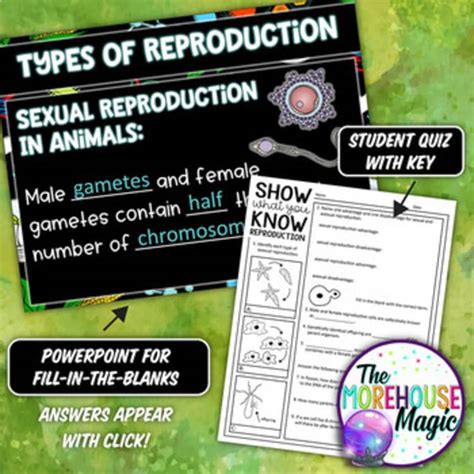 Sexual And Asexual Reproduction Doodle Notes Science Doodle Notes