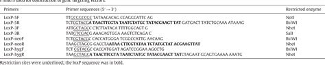 Table 1 From A Novel Promoterless Gene Targeting Vector To Efficiently