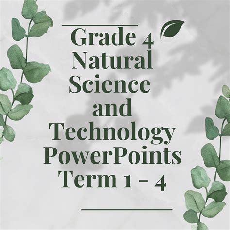 Natural Science And Technology Grade 4 Bundle Cs Summaries