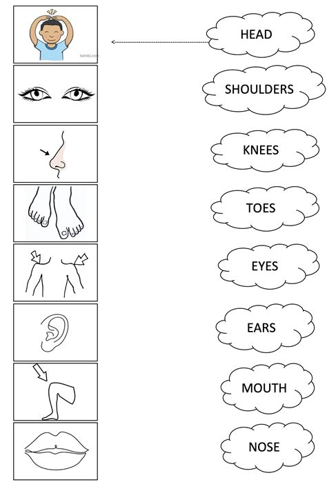 Head Shoulders Knees And Toes Coloring Sketch Coloring Page