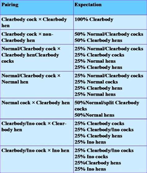 Clear Body Breeding Expectation Table Budgies Bird African Lovebirds