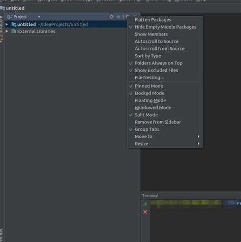 Intellij Terminal Resized By Project Tree View Stack Overflow
