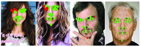 Examples Of Facial Landmark Localization With Occlusion Detection The