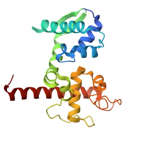 Gene O14646 Protein Chd1 Overview Cansarai