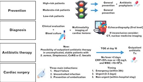 The 2023 New European Guidelines On Infective Endocarditis Main