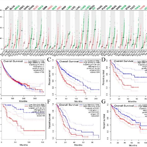 Analysis Of Clinical Samples In The Tcga Database A The Gene