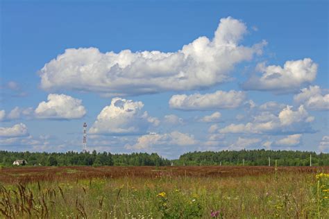 Полюшко поле Фотография весны
